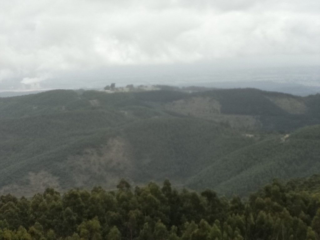 Richard and Jane's story - Mount Tassie Loop 2020 - The Grand ...