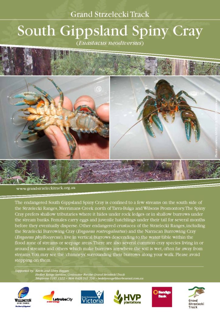 Interpretive signs | The Grand Strzelecki Track - Walks of discovery in ...